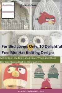 These 14 Free Bird Hat Knitting Patterns Are for the Birds (in the Best ...